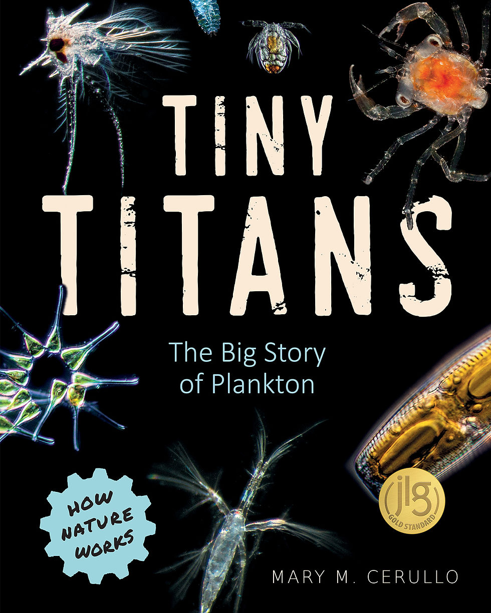 Tiny Titans: The Big Story of Plankton | Tilbury House