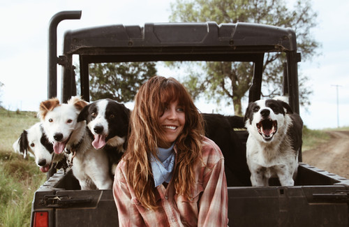 Wagyu Dog Dinner 1kg | Avondale Wagyu