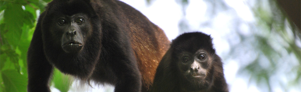 Samara Trails | Home