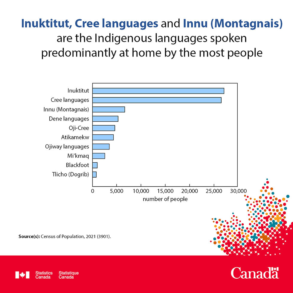 Preserving Linguistic Diversity: The Significance of International ...