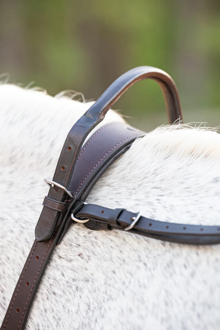 Correct Connect Double Neckstrap | Saddle4You2023