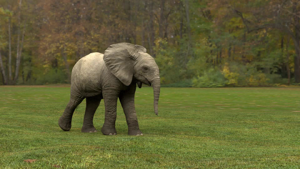 Creature animation workshop | England | United Kingdom.