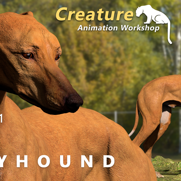 Creature animation workshop | RIgs