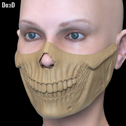 Rio Vidal Lady Death Skull Mouth Cover Agatha All Along 3D Print STL ...