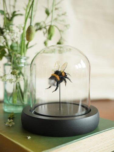 The Keepsake Bees - Preorder | Emily Jane Yeadon