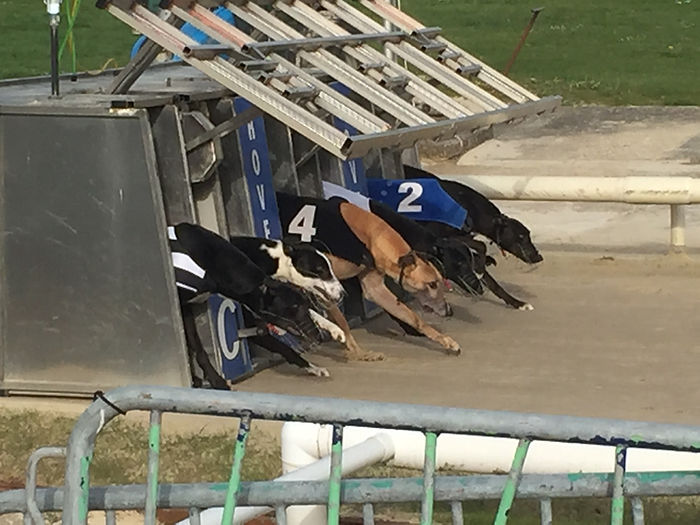 Home | G T Hare Systems Ireland Ltd