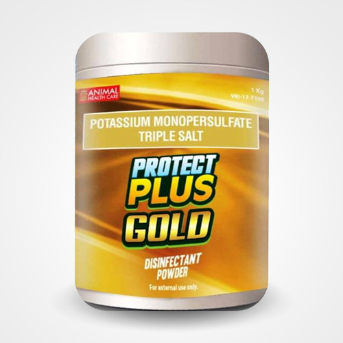 Protect Plus Gold Cannister 1kg | Nutri Chunks Pawmily| North Luzon