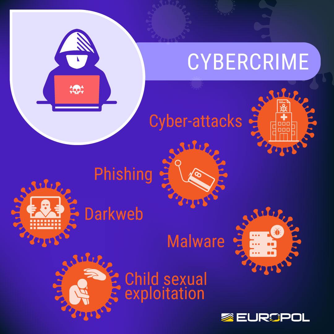 Cyber Crime Detective | Cyber Investigative Solutions | Schweiz