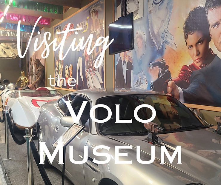 Visiting the Volo Museum with Kids