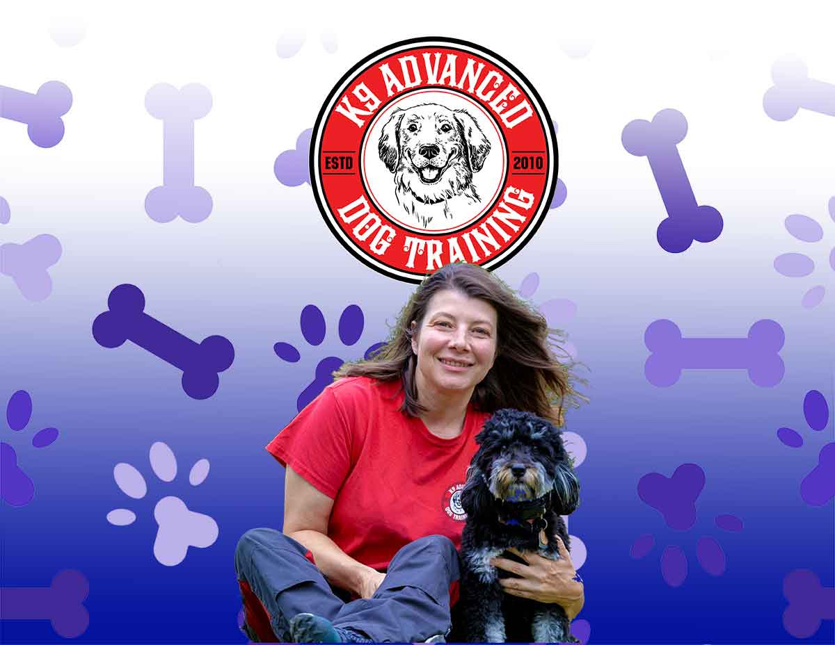 Dog Training Courses | K9 Advanced Dog Training