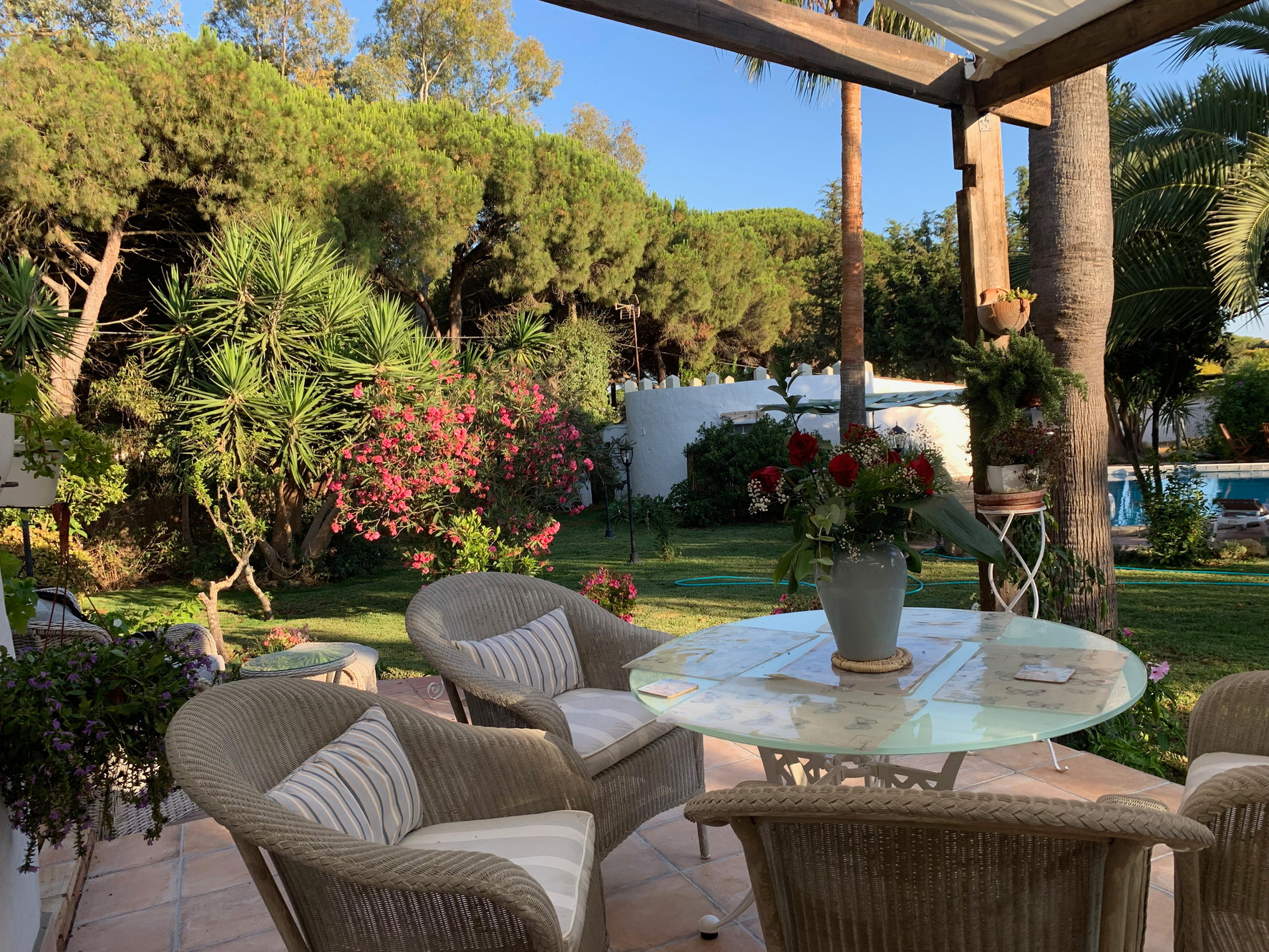 Activities & Local Area | Finca Filpi