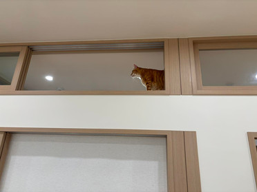 The Renaissance Design Studio | Interior Design