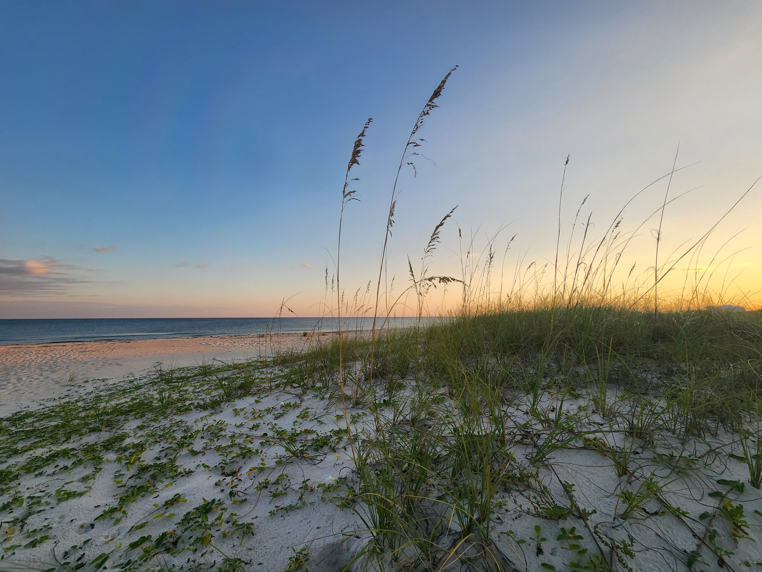 Mother Ocean Retreats | Home