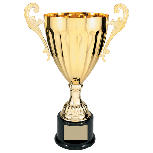 Completed Metal Cup Trophy on Plastic Base | T&J Trophies