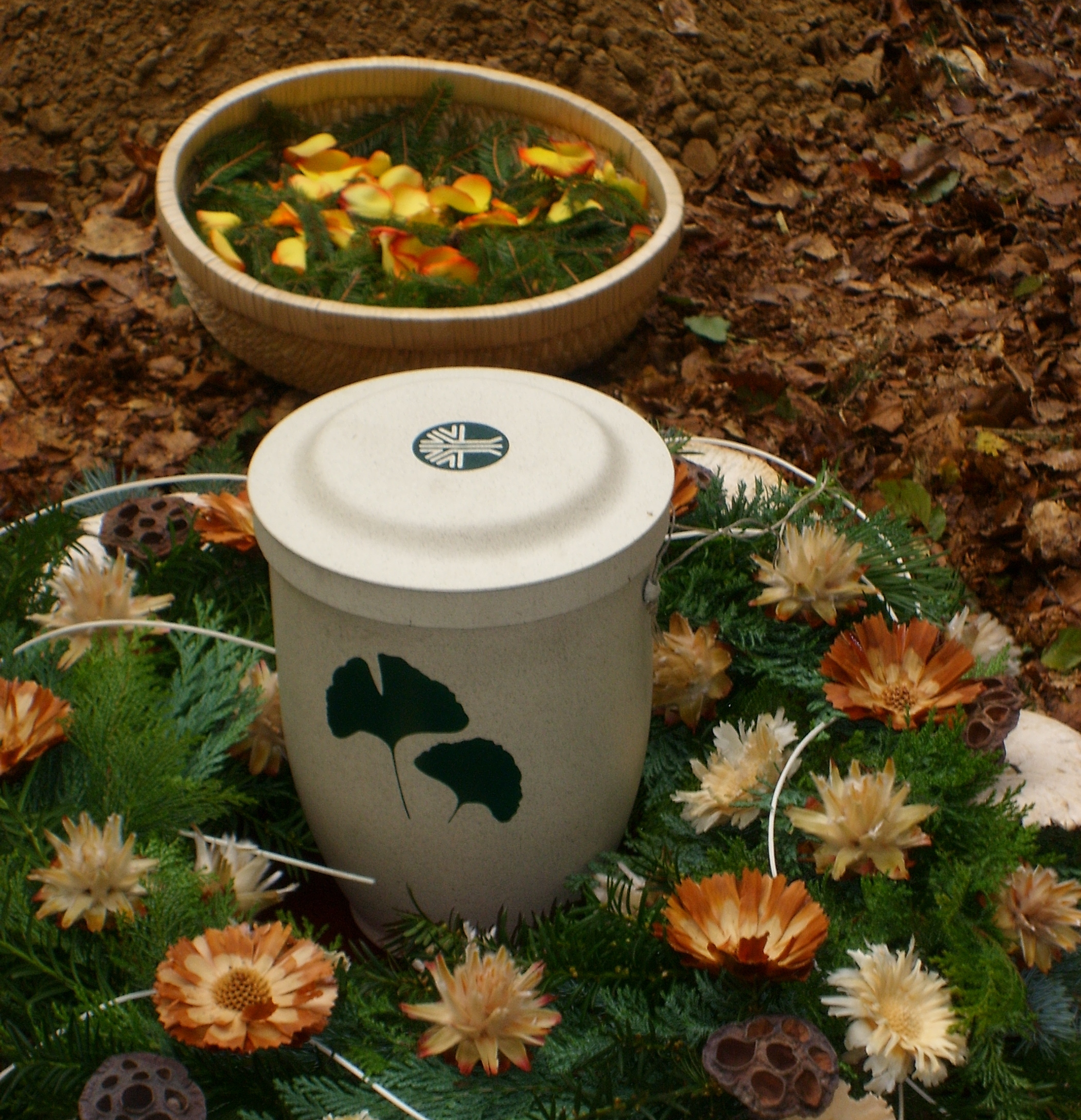 Friedwald | bestattungenallweier