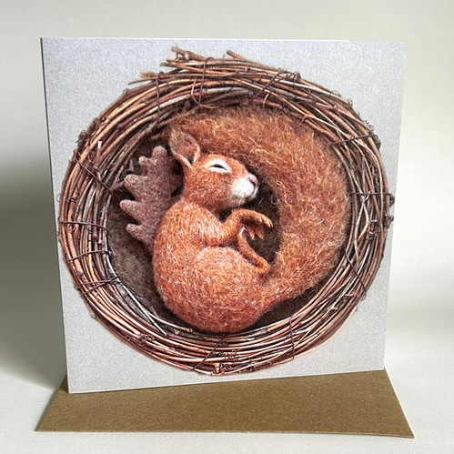 Needle Felted Sleepy Squirrel - Greeting Card | jogardinerart