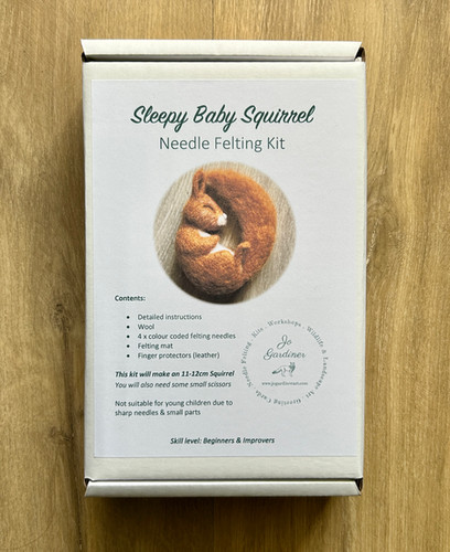 Needle Felted Sleepy Baby Squirrel kit | jogardinerart