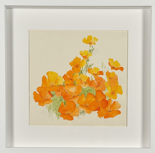 Vera Paints Orange Poppies | Vera