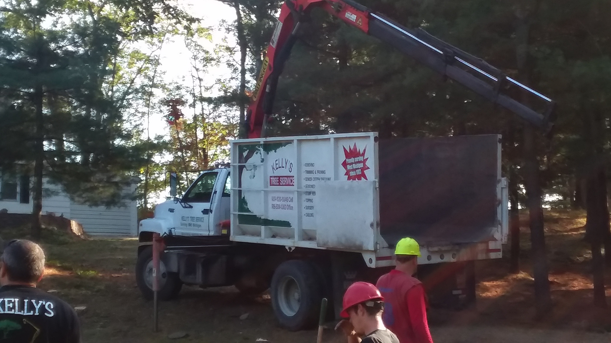 Tree Removal | Harrison | Kelly's Tree Service, LLC