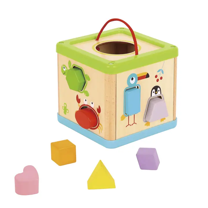 Shape Sorter | Hollands (NEW)