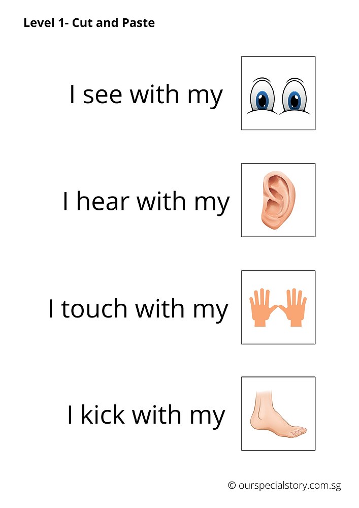 Functions of Body Parts