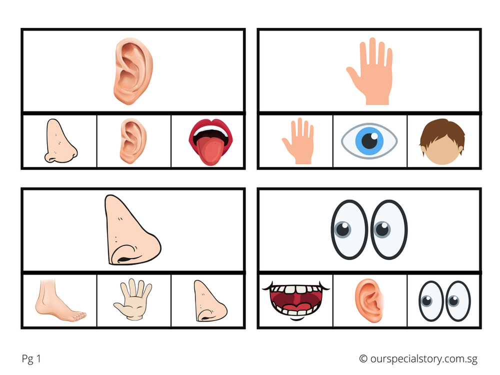 Body Parts Clip Cards!