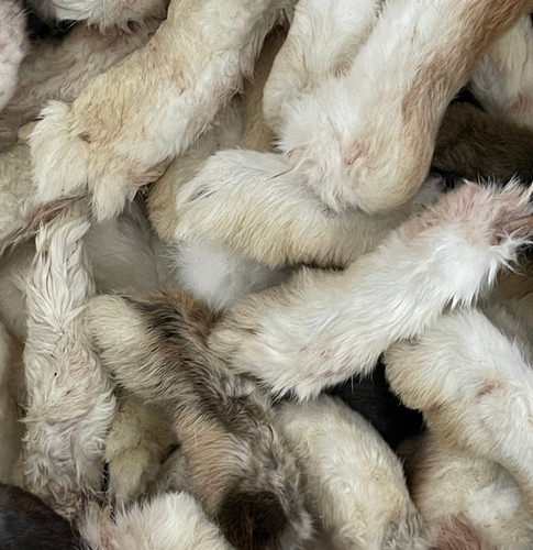 Rabbit Feet Bulk Wholesale Dog Treat - 1kg bag (40-55 Units). | JJ Pet ...