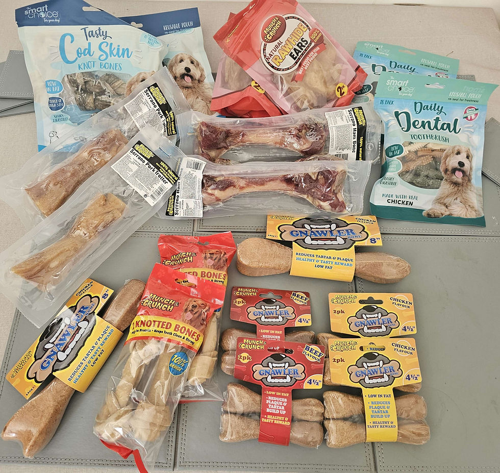 HOME | JJ Pet Supplies