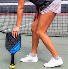 Pick-Up Ball Retriever | Pickleball World