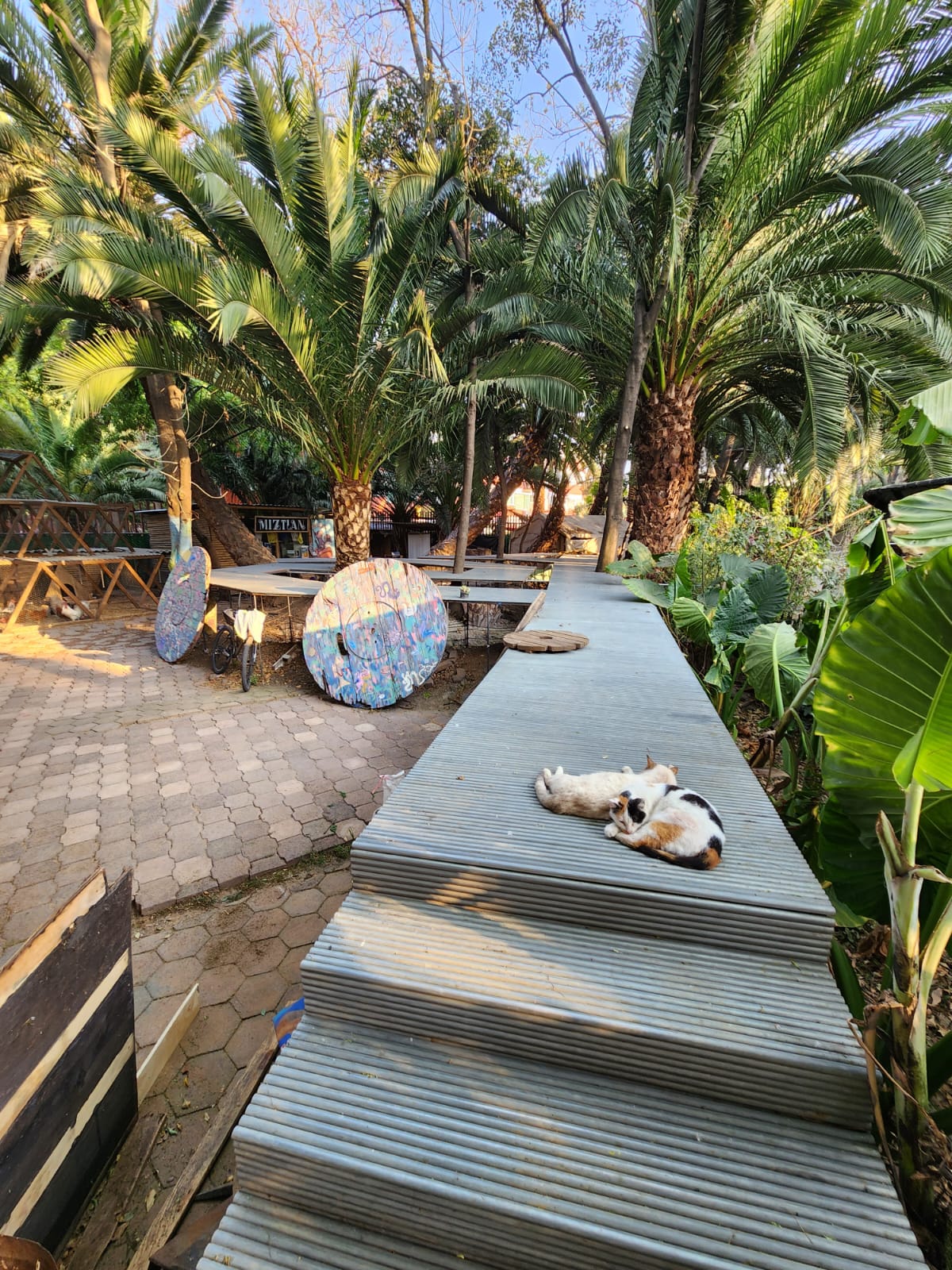 La biodiversidad del Huerto Roma Verde.