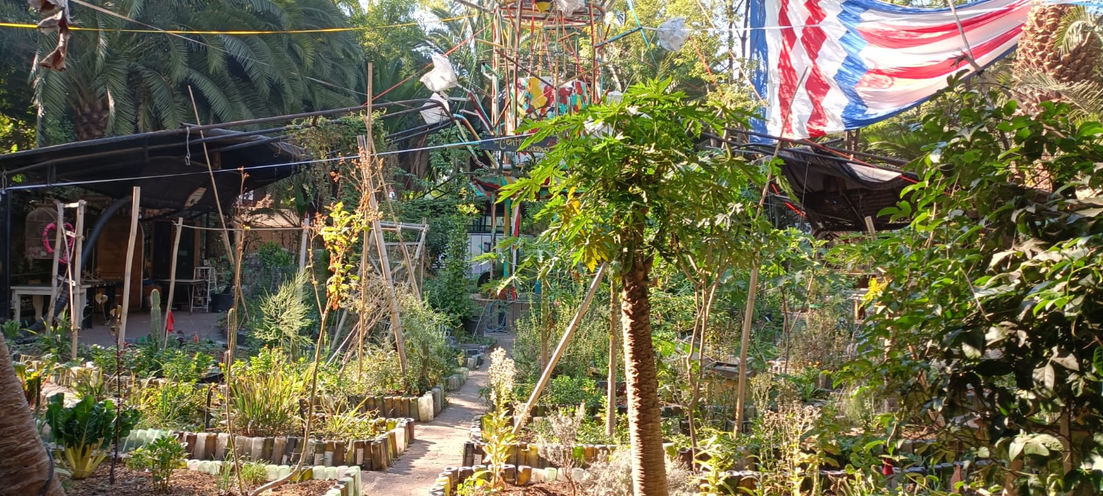 La biodiversidad del Huerto Roma Verde.