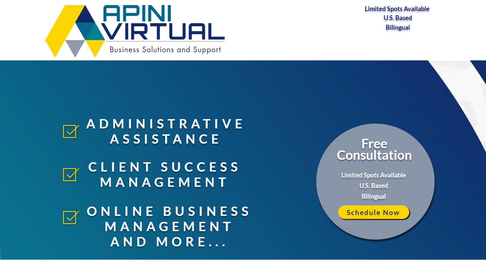 Apini Virtual | Business Solutions and Support | United States