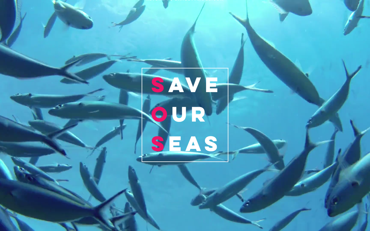 Save Our Seas