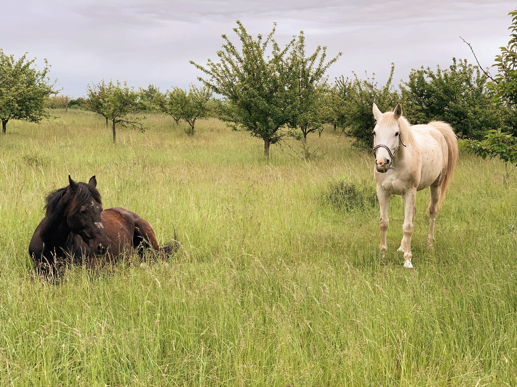 Kezdőlap | B&W Elements