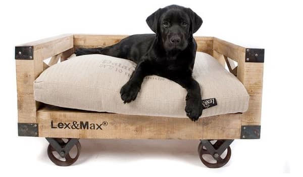 10x de leukste houten hondenmand met pootjes, wieltjes of een naamplaatje!