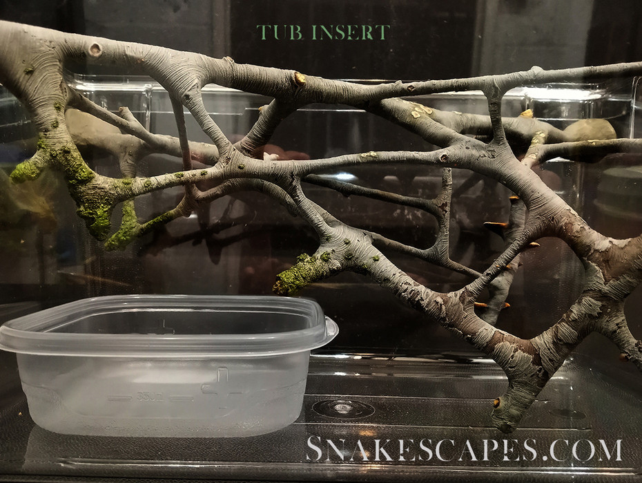 Custom Snake Perches | Snakescapes