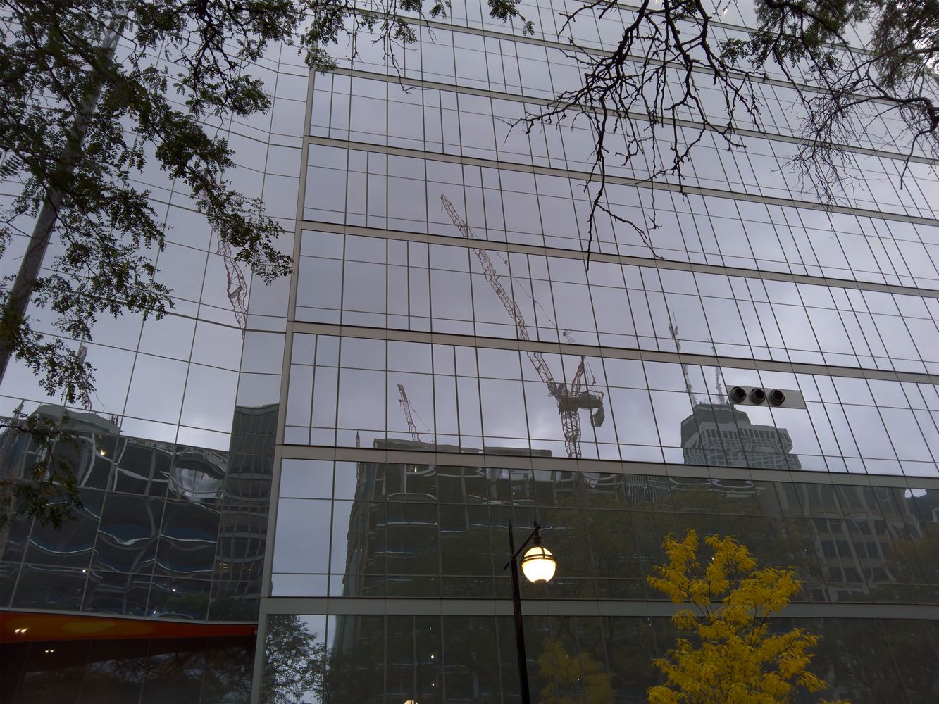 Light L16 photos and analysis