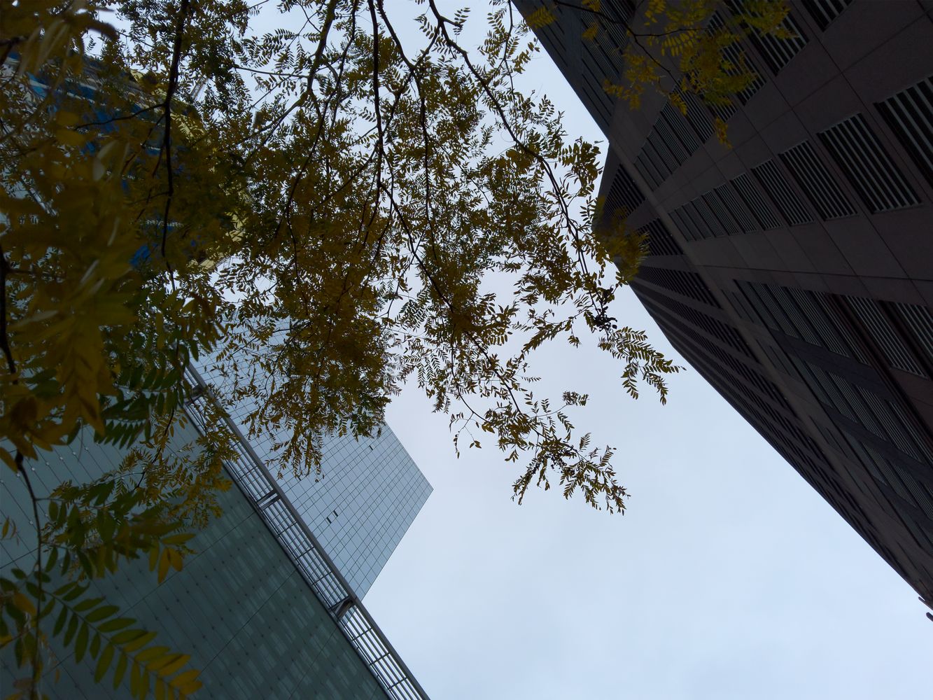 Light L16 photos and analysis