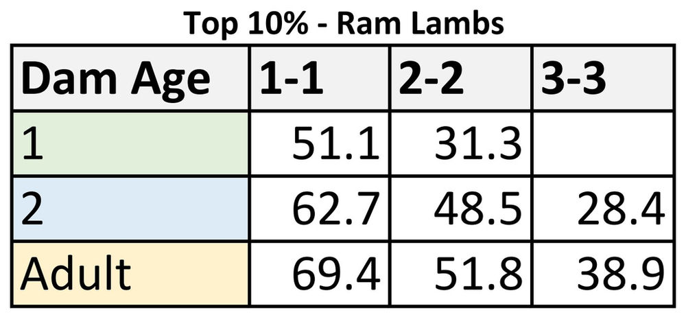 2021 Lamb Weights - 60Days