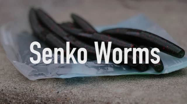 6 Best Senko Worm Colors of 2021 | Bass Tackle Lures