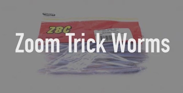6 Best Zoom Trick Worm Colors of 2021 | Bass Tackle Lures