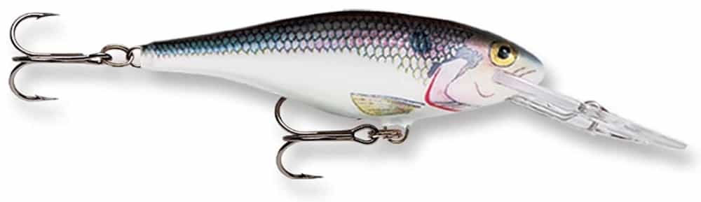8 Best Rapala Lures for Bass (2020-2021) | Bass Tackle Lures