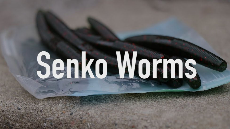 Best Senko Colors (2022) - Our Top 6 - Bass Tackle Lures