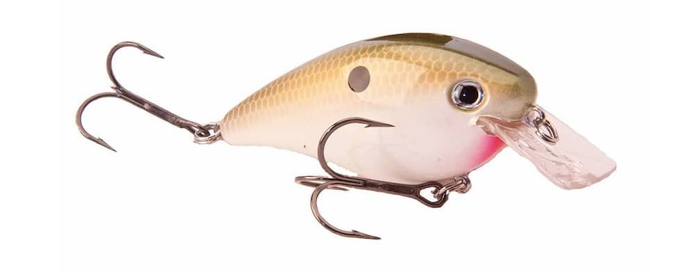 10 Best Smallmouth Bass Lures of 2020-2021 | Bass Tackle Lures