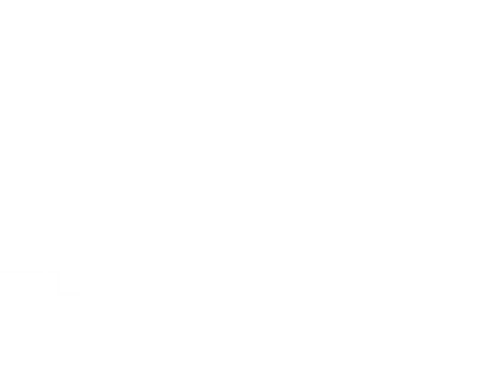 The Gut Guy | Gut Health Consultant