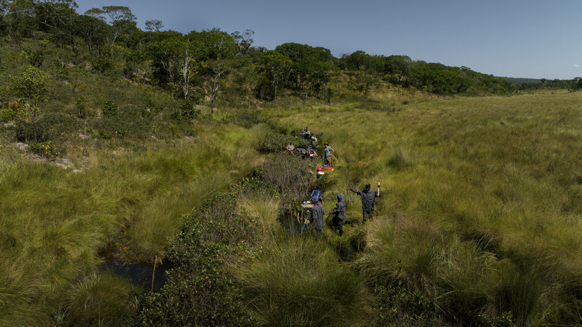 Expeditions