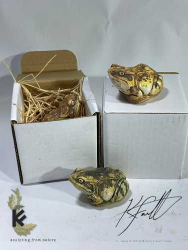 Frog in a box | K.F.Studios