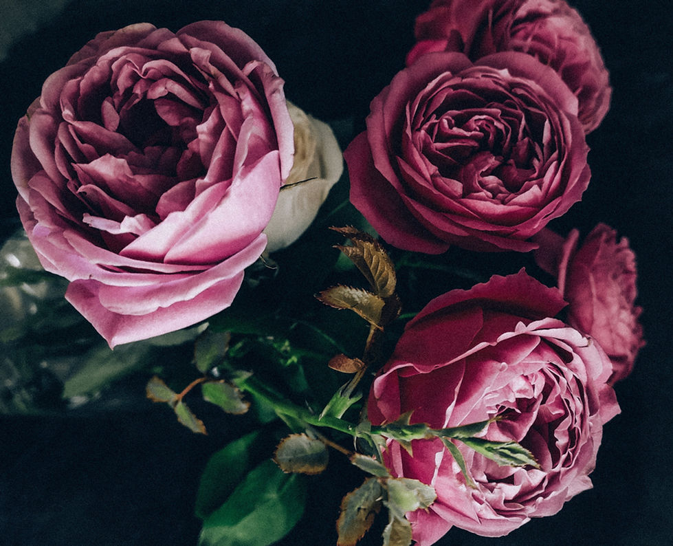 Freelance. | Amanda Hurley