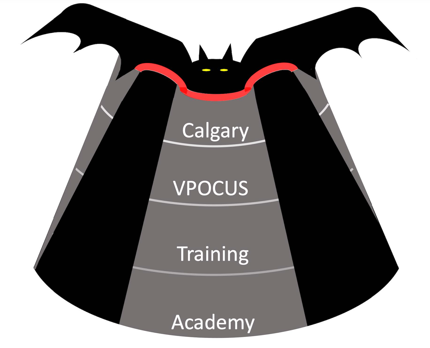 Veterinary Point-of-care ultrasound (POCUS) | focused assessment with ...