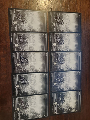 Full Art Plains Midnight Hunt | MTG Artist Signature